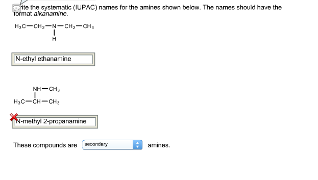 Solved the systematic (IUPAC) names for the amines shown | Chegg.com