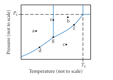 Solved The general form of a phase diagram is given below. | Chegg.com