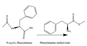 What is the reaction mechanism for phenylalanine | Chegg.com