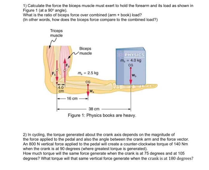 Solved Calculate the force the biceps muscle must exert to | Chegg.com