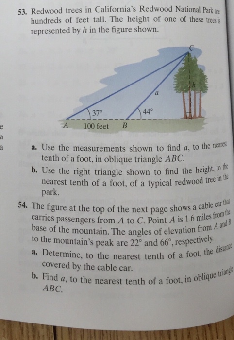 Solved Redwood trees in California's Redwood National Park | Chegg.com