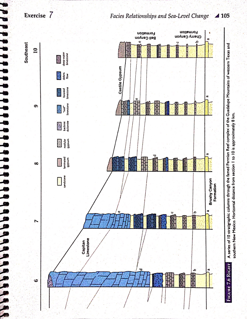 Solved Facies Relationships and Sea-Level Change 101 | Chegg.com