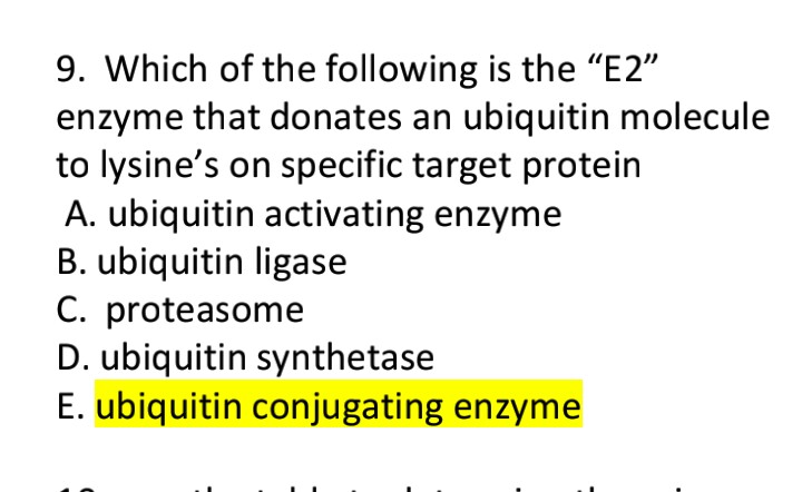 Solved Which of the following is the "E2" enzyme that | Chegg.com