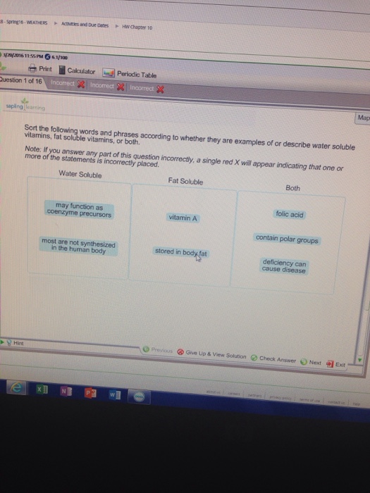 Solved Sort the following words and phrases according to | Chegg.com