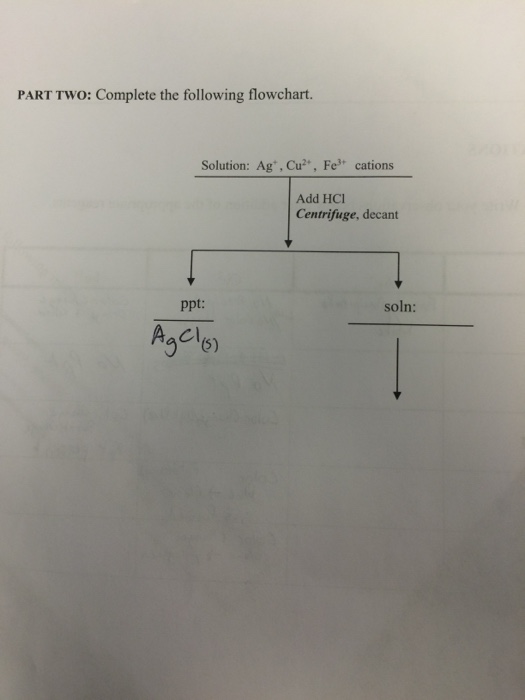 Solved Complete the following flowchart. | Chegg.com