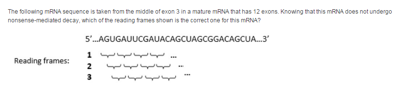 Solved The Following Mrna Sequence Is Taken From The Middle