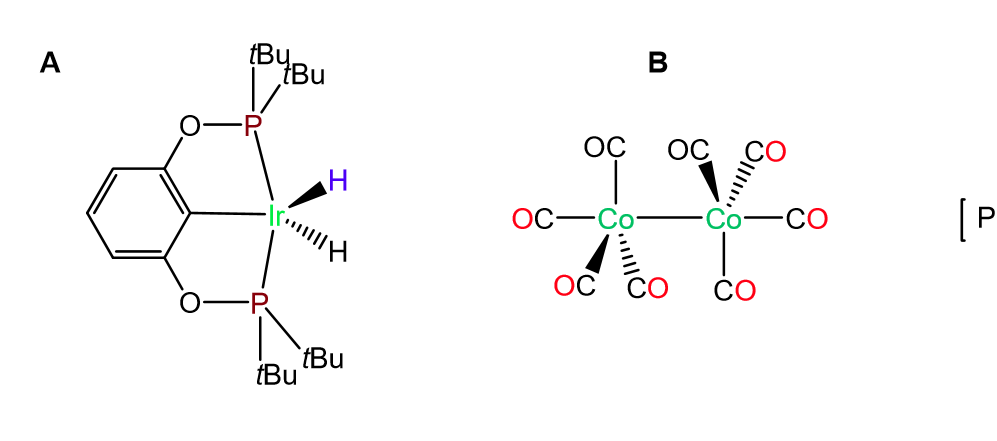 Solved tB Bu OC OC CO OC Co Co-co OC CO CO tBu tBu | Chegg.com