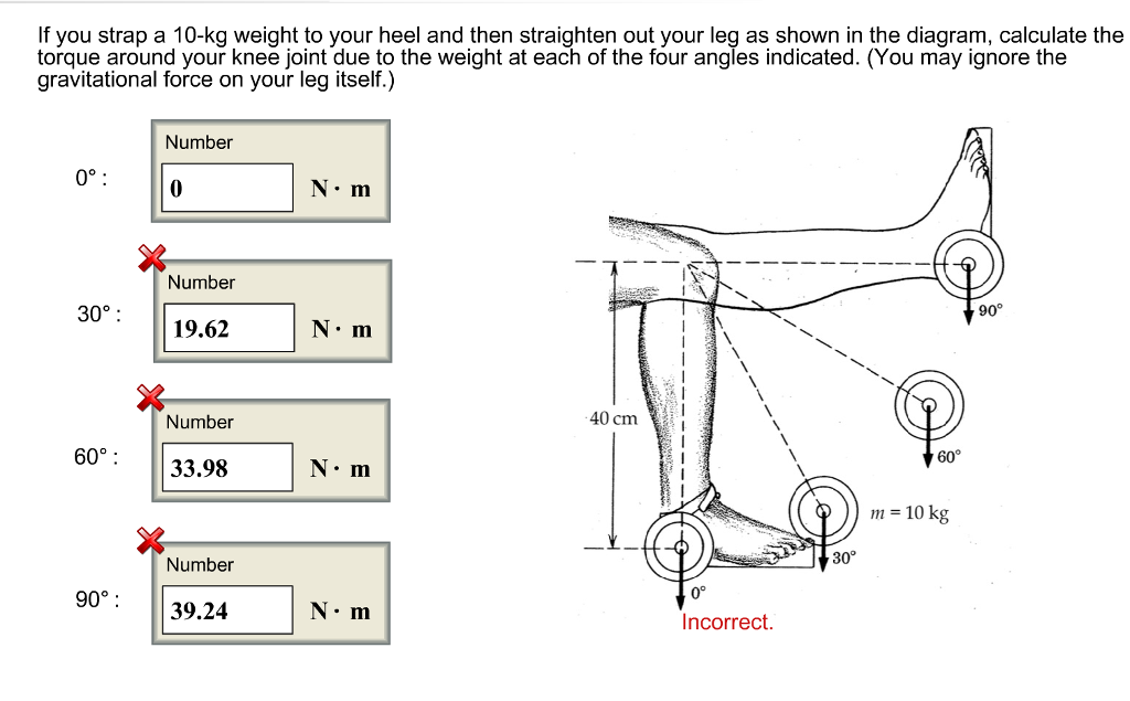 Solved Torque - for the life of me I cannot figure this out | Chegg.com