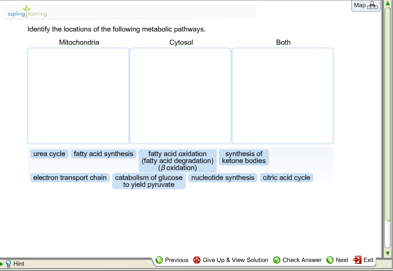 Solved Identify the locations of the following metabolic | Chegg.com