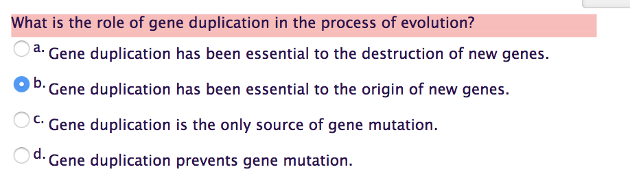 Solved What is the role of gene duplication in the process | Chegg.com