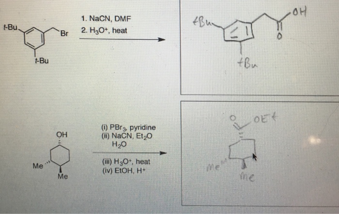 Solved: 1. NaCN, DMF T-Bu 2. HalO+. Heat Br T-Bu (i PBr3 P... | Chegg.com