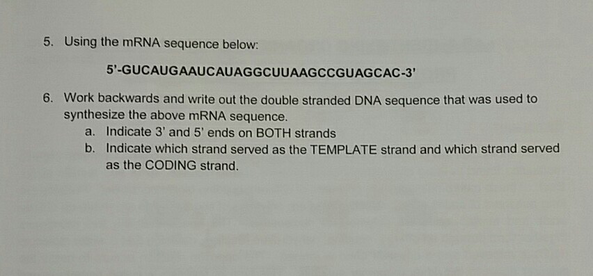 Solved 1. Using the DNA sequence below | Chegg.com