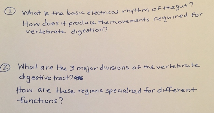 Solved What is the basic electrical rhythm of the gut? How | Chegg.com