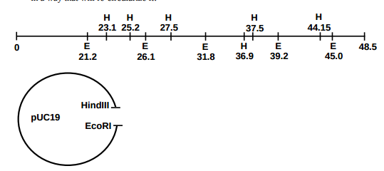 Solved Given the restriction map of bacteriophage lambda and | Chegg.com