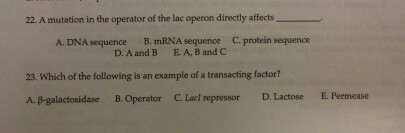 Solved A mutation in the operator of the lac operon directly | Chegg.com