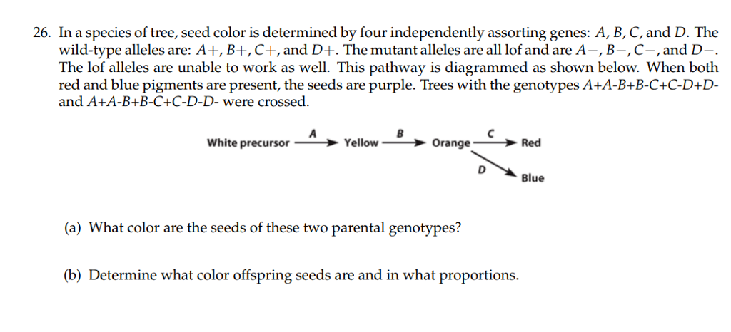 Solved 26. In a species of tree, seed color is determined by | Chegg.com