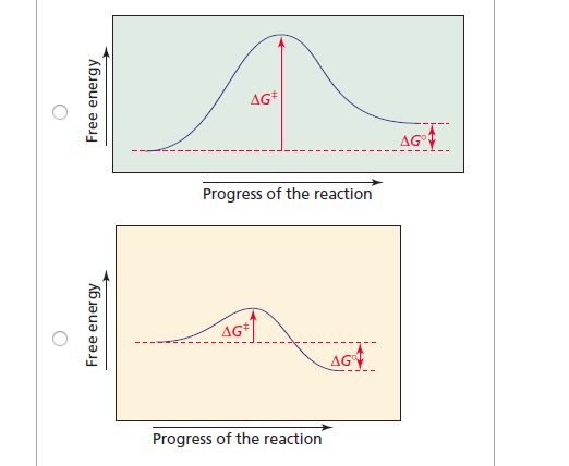 Solved the product is thermodynamically stable and | Chegg.com