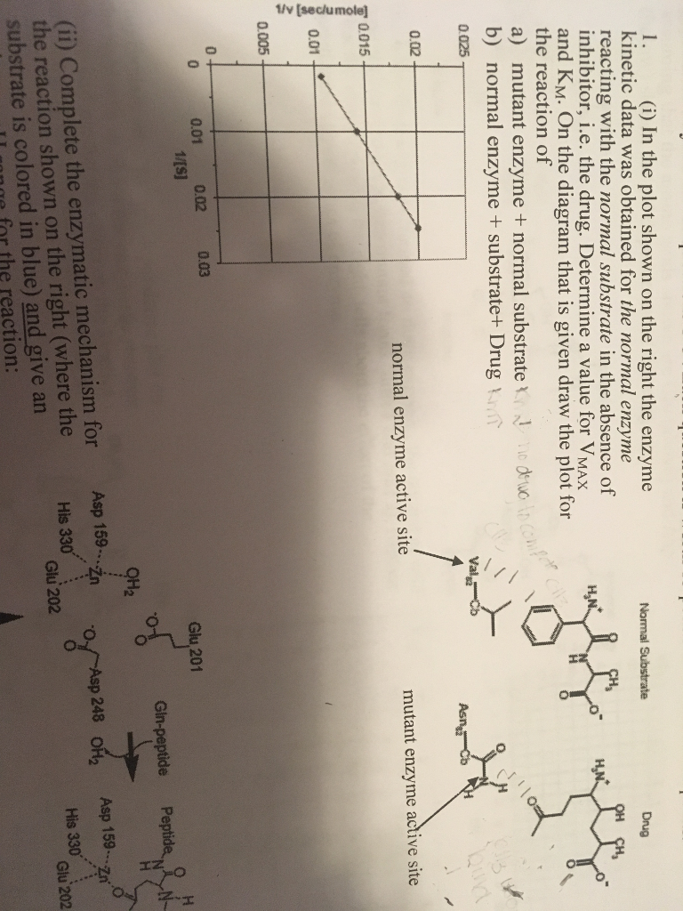 Solved In the plot attached the enzyme kinetic data was | Chegg.com