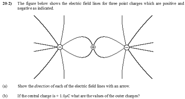 Solved The figure below shows the electric field lines for | Chegg.com