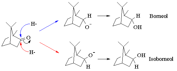 Solved Are Isoborneol and Borneol diastereomers or | Chegg.com