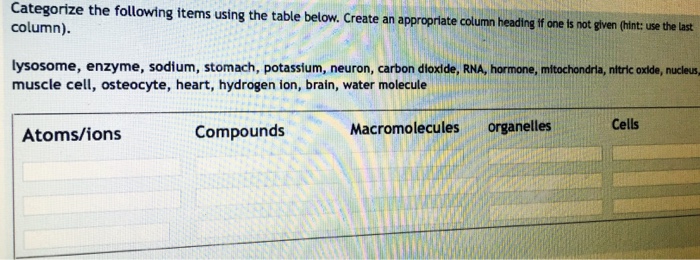 Solved Categorize the following items using the table below. | Chegg.com