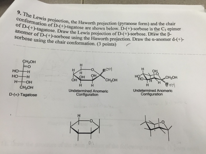 Solved The Lewis projection,the Haworth projection (pyranose | Chegg.com