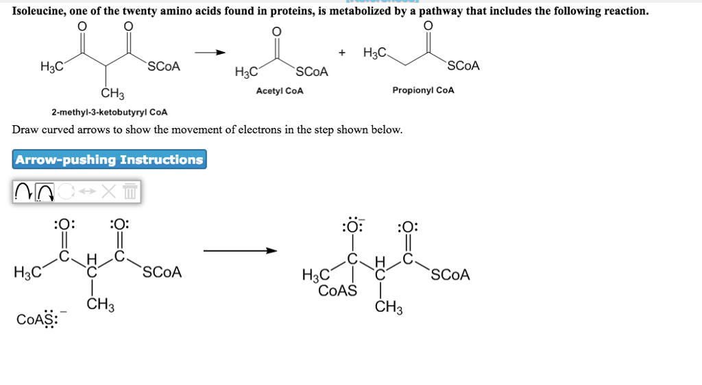Solved Isoleucine, one of the twenty amino acids found in | Chegg.com