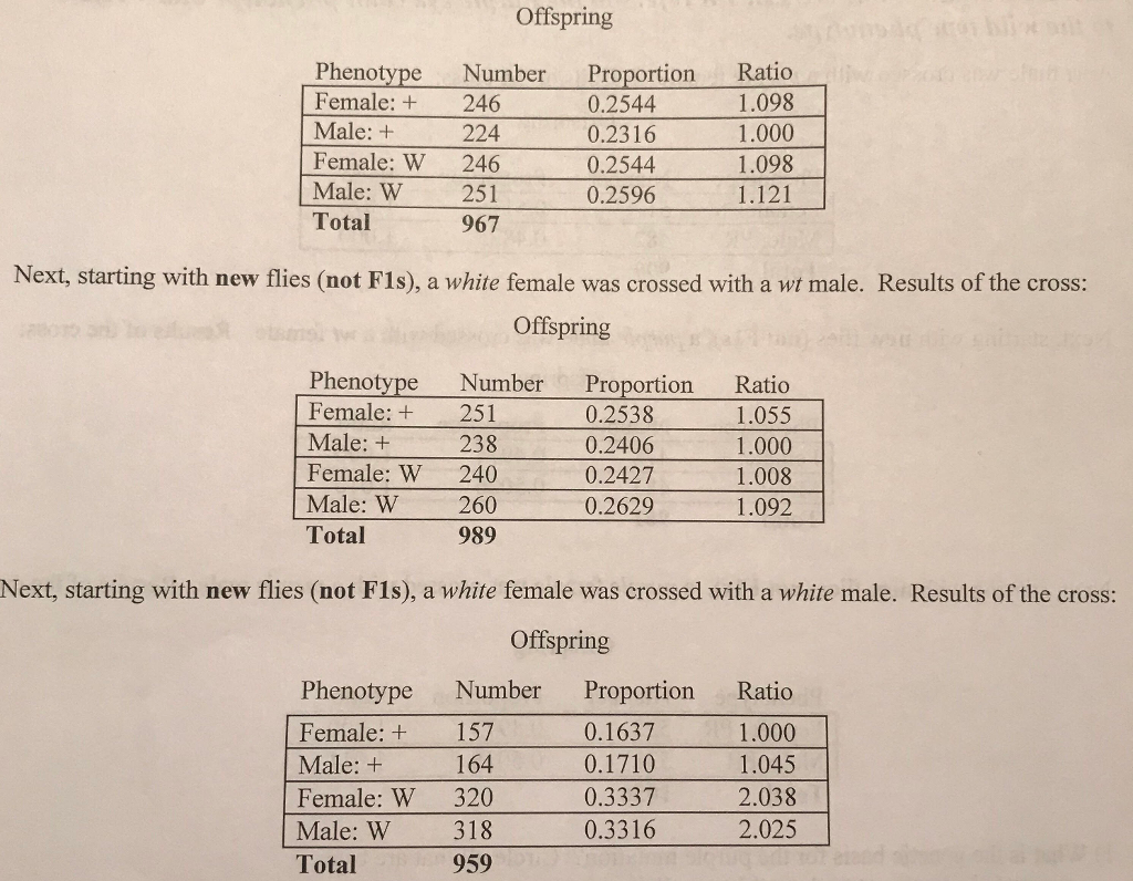 Solved What is the genetic basis for the white mutation? | Chegg.com