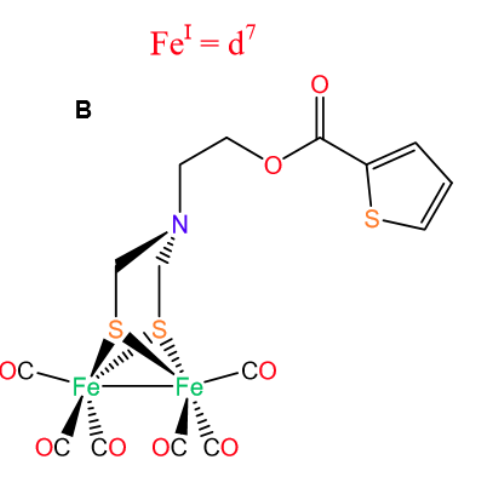 Solved Fe = Fe-Fe OC CO OC CO | Chegg.com
