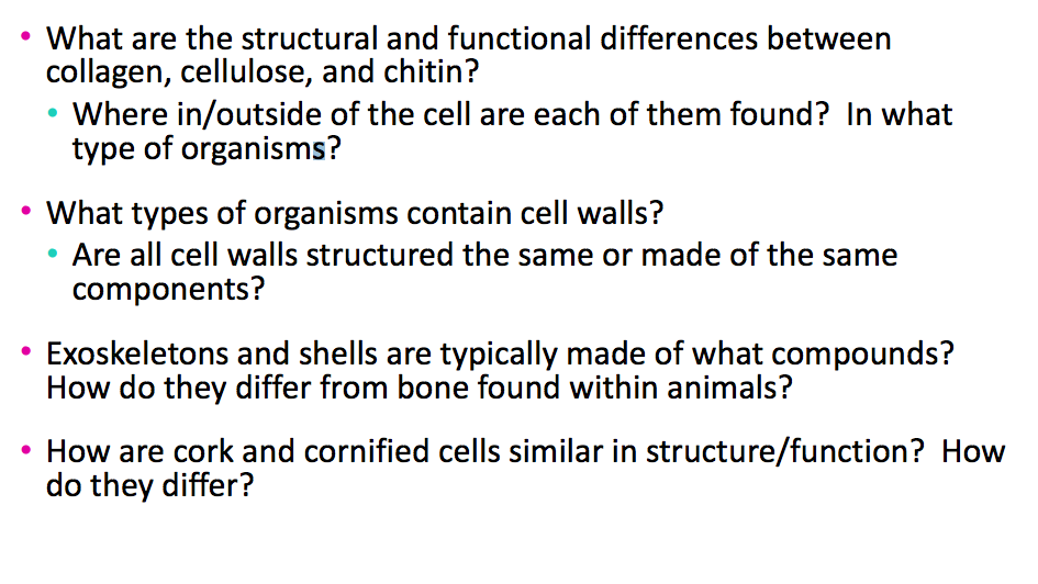 Solved What are the structural and functional differences | Chegg.com