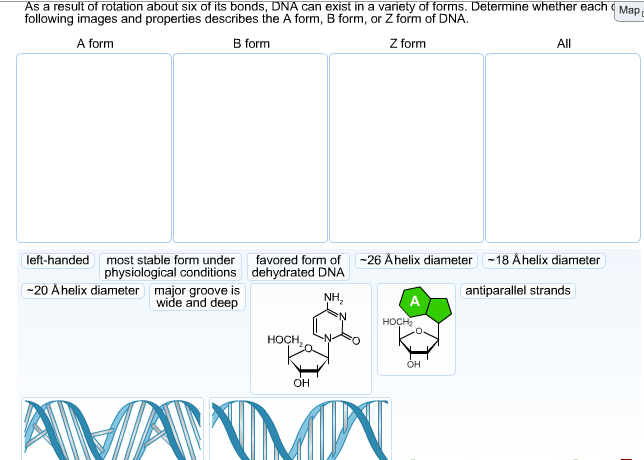 Solved As a result of rotation about six of its bonds, DNA | Chegg.com