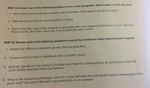 Solved Name each phase of mitosis in animal cells and | Chegg.com