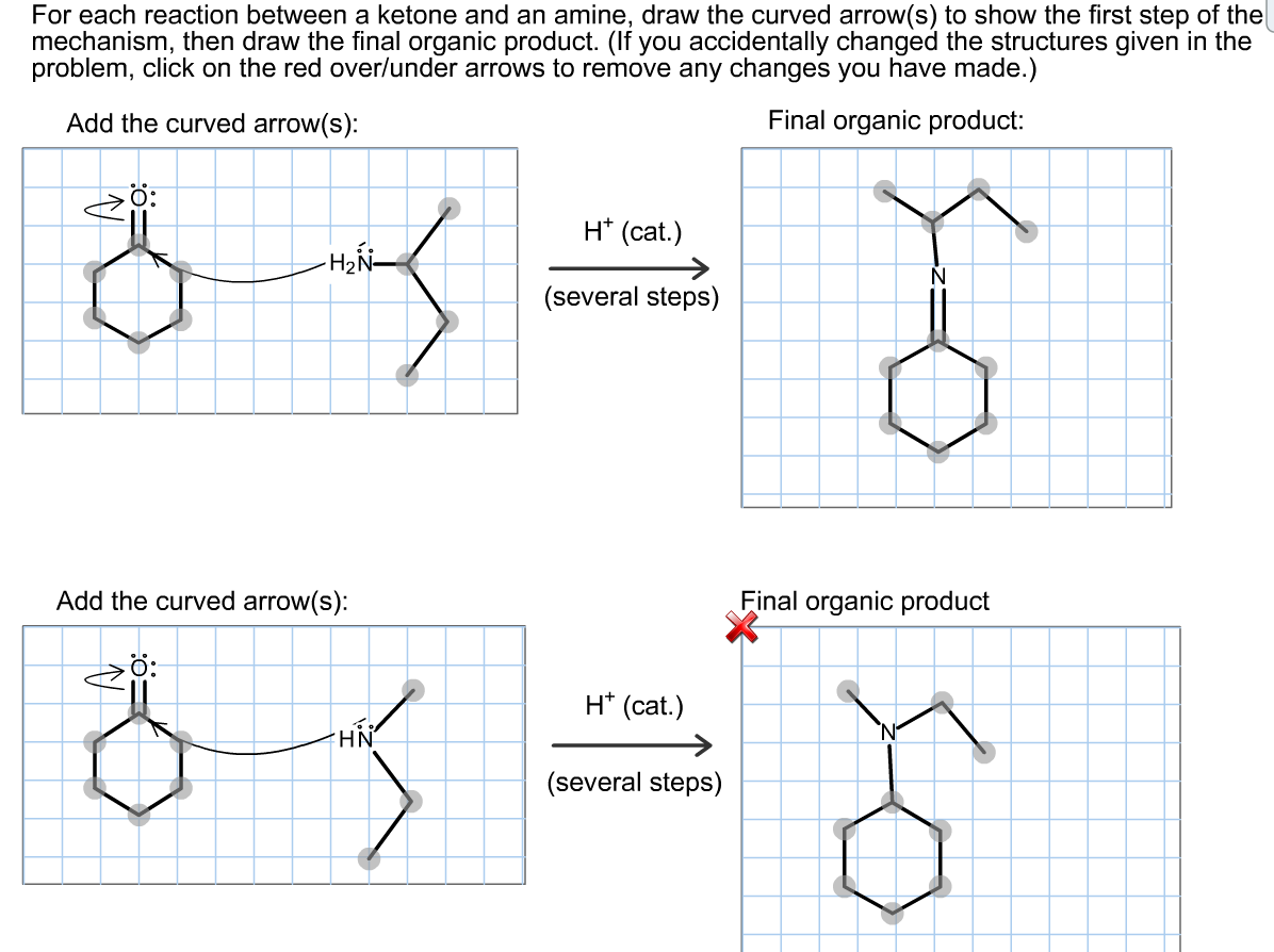 Solved For each reaction between a ketone and an amine, draw | Chegg.com