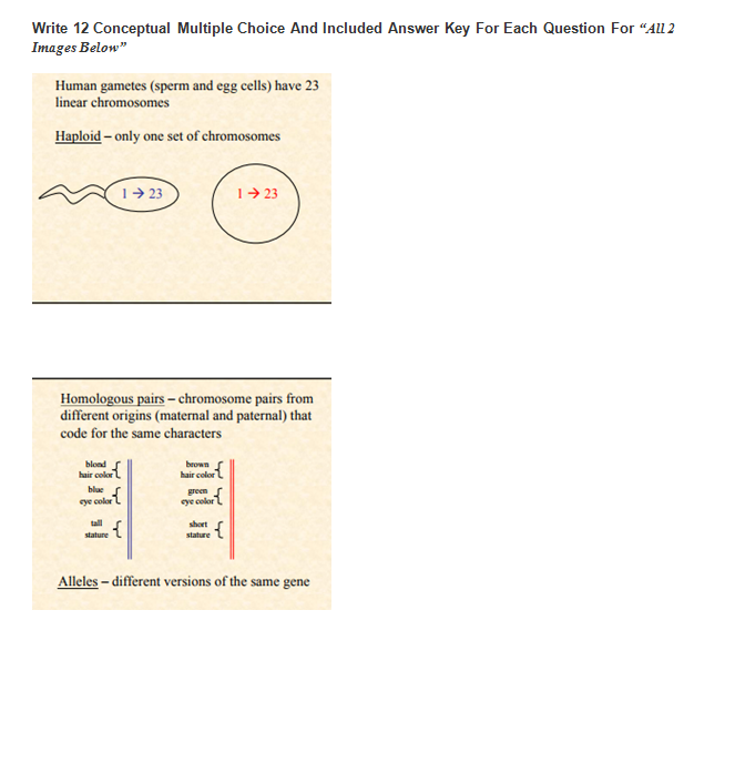 Solved Note: Write 12 Conceptual Multiple Choice And | Chegg.com