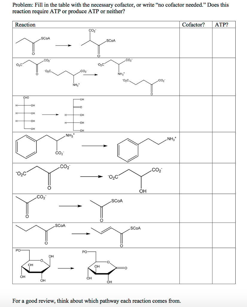 Biochemistry Skills Worksheet Answers Ivuyteq Biochemistry Skills Worksheet Answers Ivuyteq