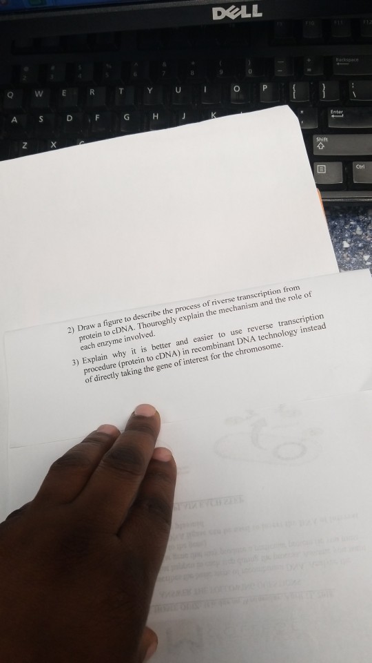 Solved DELL Backspace 2) Draw a figure to describe the | Chegg.com