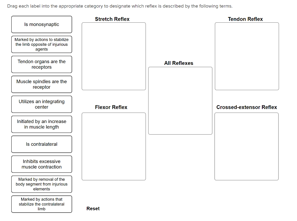 Solved Drag each label into the appropriate category to | Chegg.com