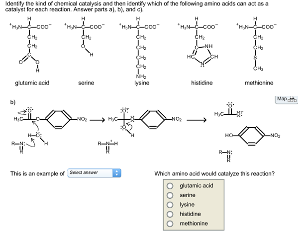 Solved Identify the kind of chemical catalysis and then | Chegg.com
