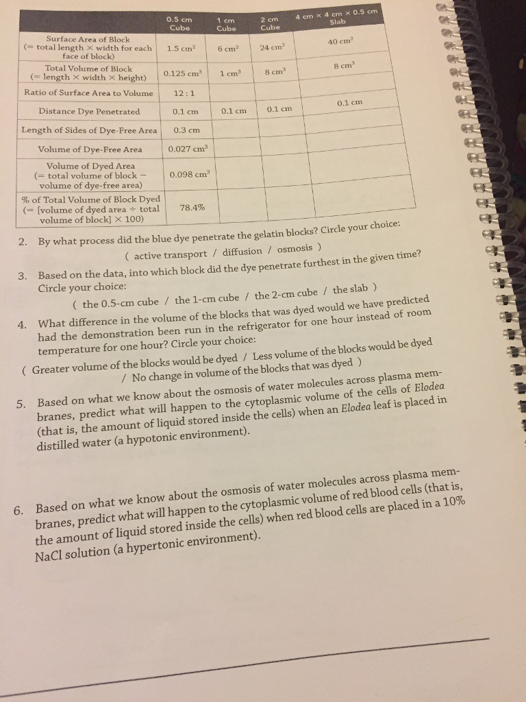 Solved Pre-Lab Assignment 1. In a demonstration of Agar cube | Chegg.com