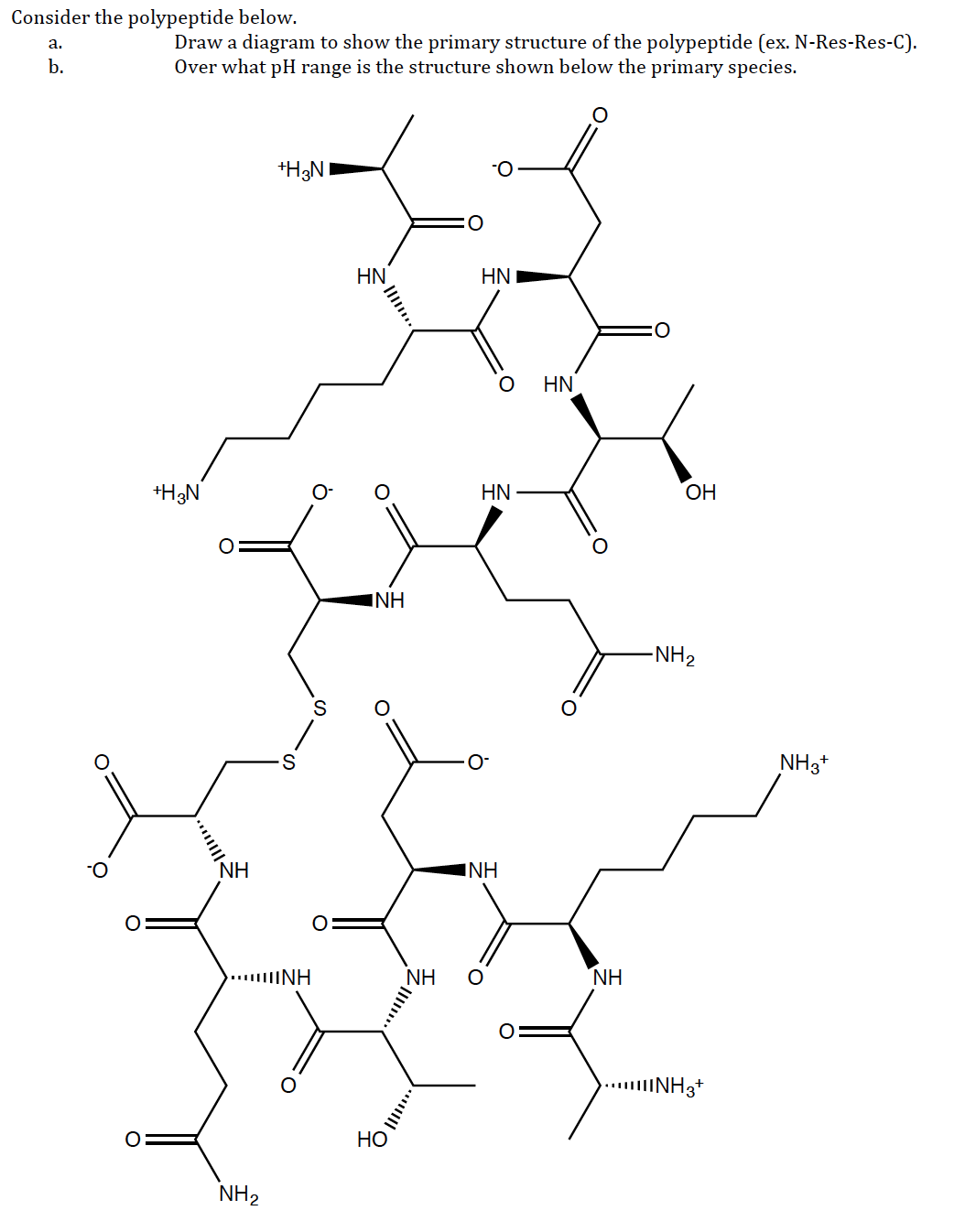 Solved Consider the polypeptide below. Draw a diagram to | Chegg.com