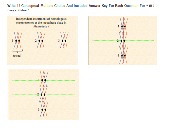 Solved Note: Write 14 Conceptual Multiple Choice And | Chegg.com