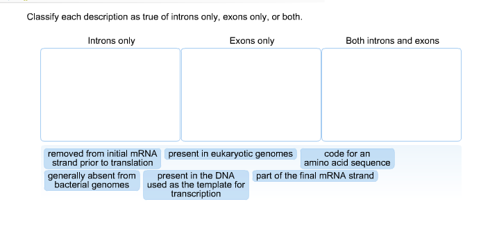 Solved Classify each description as true of introns only, | Chegg.com