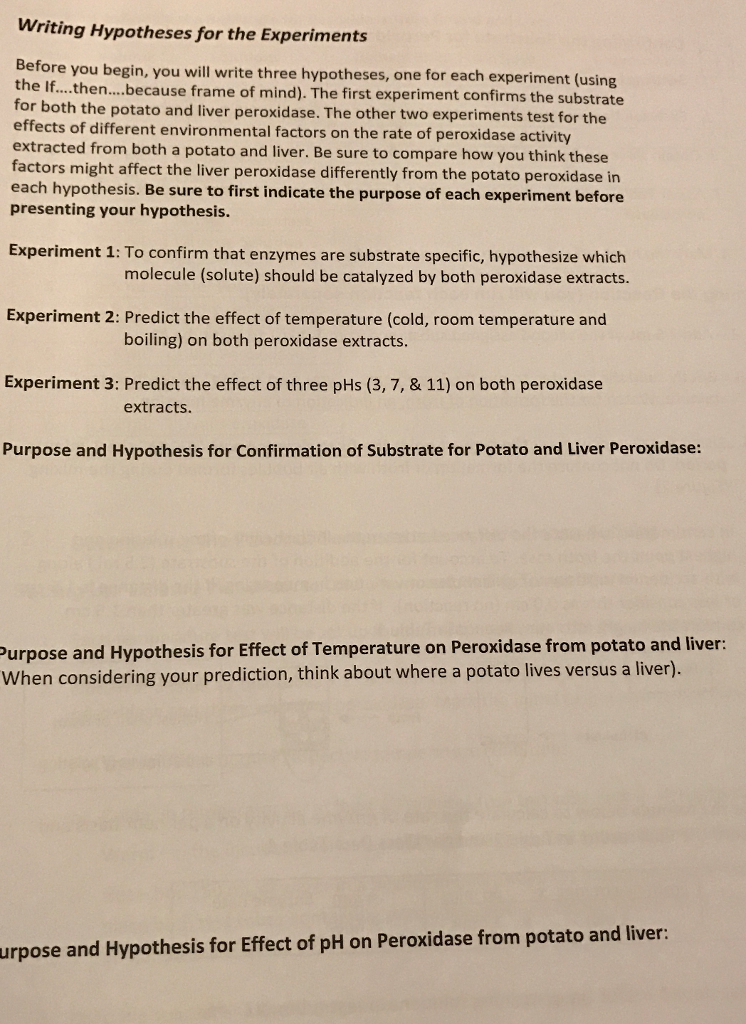 Solved LAB 8 Factors Affecting the Rate of Enzyme Activity | Chegg.com