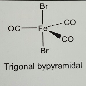 Solved Assign point groups for each structure using the | Chegg.com
