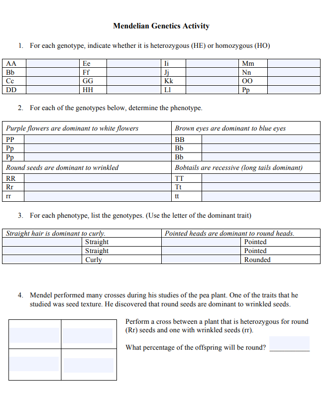 Solved Mendelian Genetics Activity 1. For each genotype, | Chegg.com