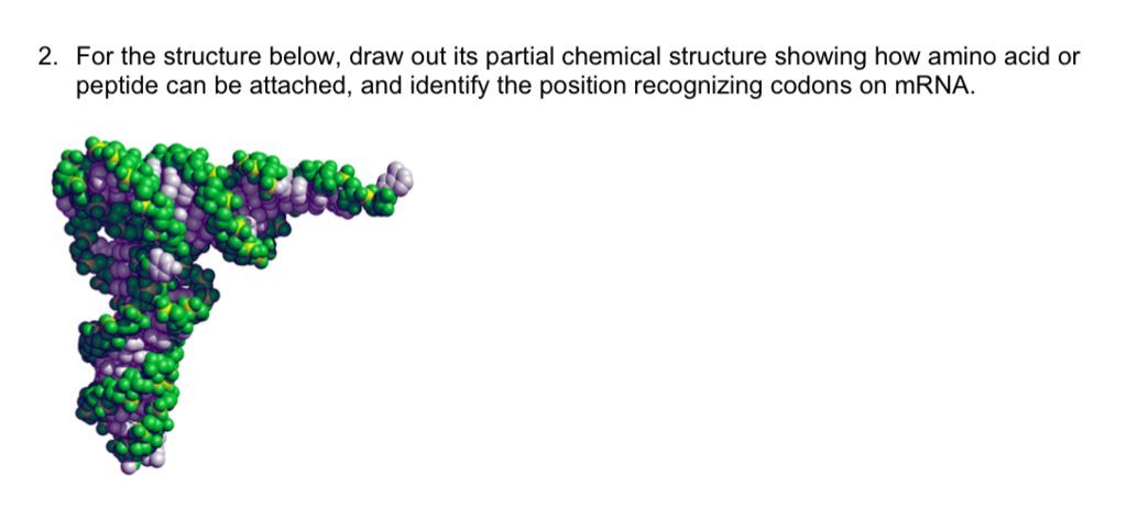 Solved 2. For the structure below, draw out its partial | Chegg.com