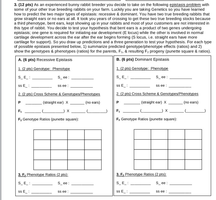 Solved As an experienced bunny rabbit breeder you decide to | Chegg.com