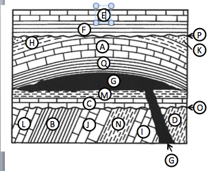 Solved . Reconstruct the relative sequence of events evident | Chegg.com