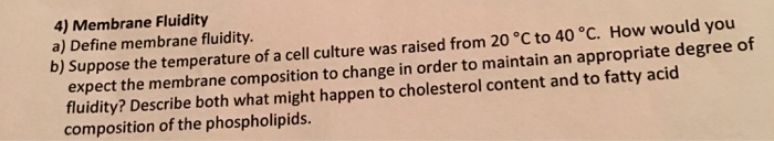 Solved Define membrane fluidity. Suppose the temperature of | Chegg.com