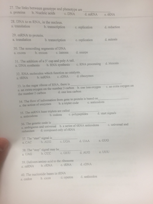 Solved The links between genotype and phenotype | Chegg.com